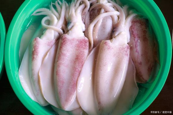 鱿鱼焯水多长时间最佳_鱿鱼焯水多久口感最嫩-第2张图片-山城妙识