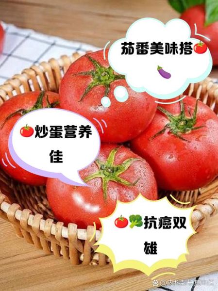西红柿和什么搭配最好吃_西红柿最佳搭配有哪些-第3张图片-山城妙识