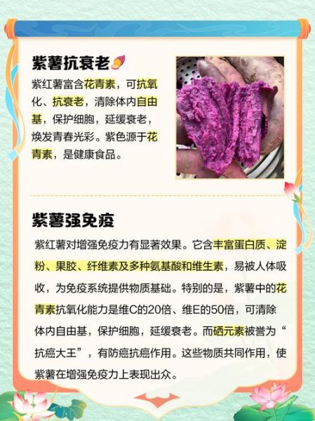 紫薯的功效与作用及副作用_紫薯吃多了会怎样-第2张图片-山城妙识