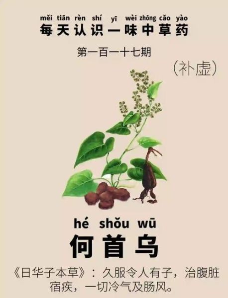 何首乌禁忌人群_孕妇能用何首乌吗-第1张图片-山城妙识