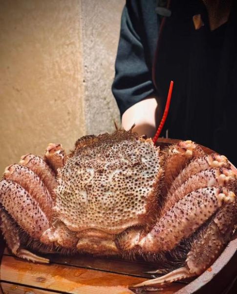 红毛蟹蒸多久_蒸红毛蟹最佳时间-第1张图片-山城妙识 红毛蟹蒸多久_蒸红毛蟹最佳时间-第1张图片-山城妙识