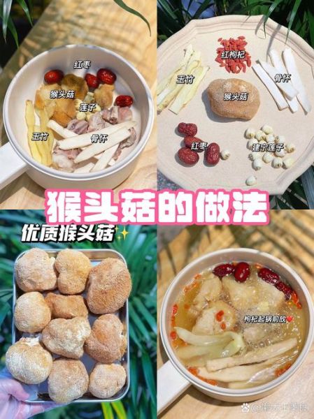 新鲜的猴头菇怎么做才好吃_猴头菇的家常做法大全-第3张图片-山城妙识 新鲜的猴头菇怎么做才好吃_猴头菇的家常做法大全-第3张图片-山城妙识