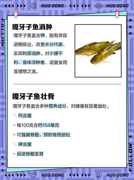 什么人不能吃嘎鱼_嘎鱼禁忌人群有哪些-第2张图片-山城妙识