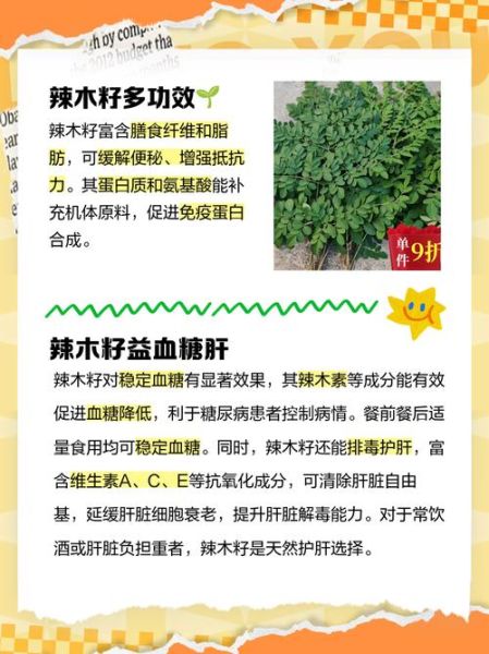 辣木籽吃后味道代表什么_辣木籽苦味正常吗-第1张图片-山城妙识 辣木籽吃后味道代表什么_辣木籽苦味正常吗-第1张图片-山城妙识