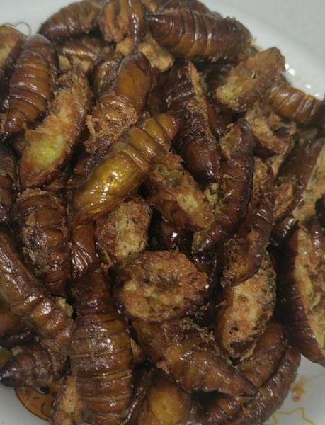 蚕蛹一次吃20个没事吧_蚕蛹吃多了会怎样-第2张图片-山城妙识