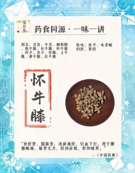 长期服用牛膝的危害_牛膝副作用有哪些-第3张图片-山城妙识 长期服用牛膝的危害_牛膝副作用有哪些-第3张图片-山城妙识