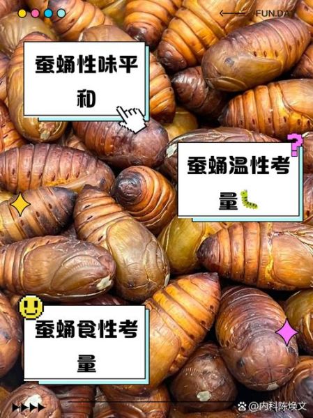 蚕蛹一次吃20个没事吧_蚕蛹吃多了会怎样-第3张图片-山城妙识
