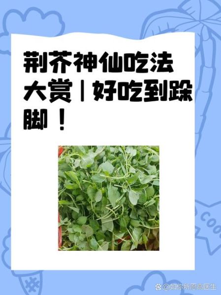 荆芥怎么吃_荆芥的吃法大全-第3张图片-山城妙识