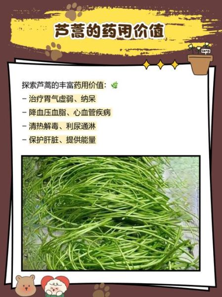 芦蒿怎么种_芦蒿种植时间和方法-第3张图片-山城妙识