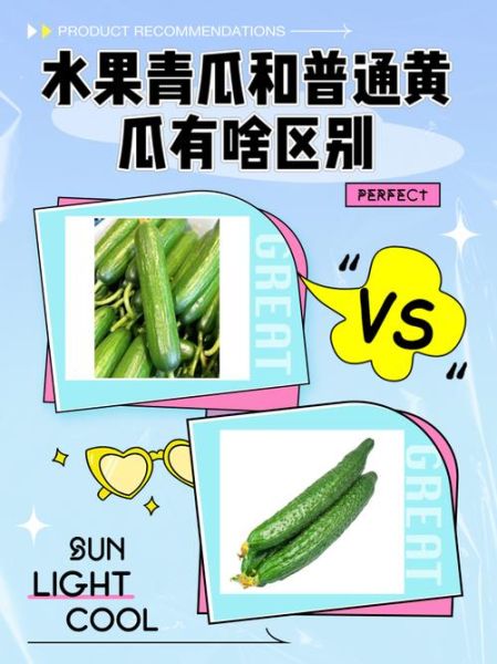 青瓜是什么瓜_青瓜和黄瓜的区别-第1张图片-山城妙识
