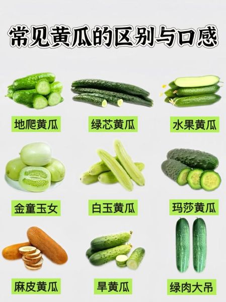 青瓜是什么瓜_青瓜和黄瓜的区别-第3张图片-山城妙识