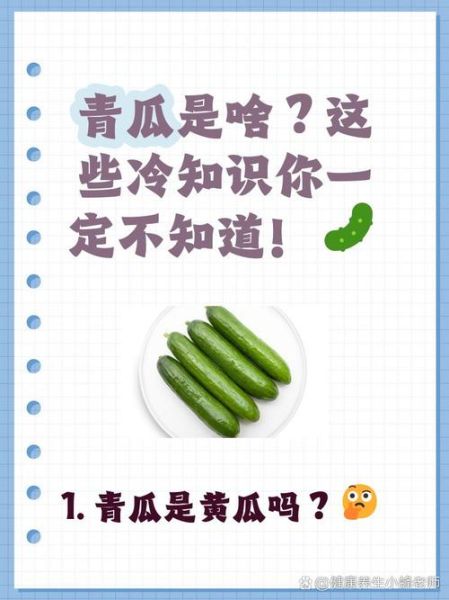 青瓜是什么瓜_青瓜和黄瓜的区别-第2张图片-山城妙识