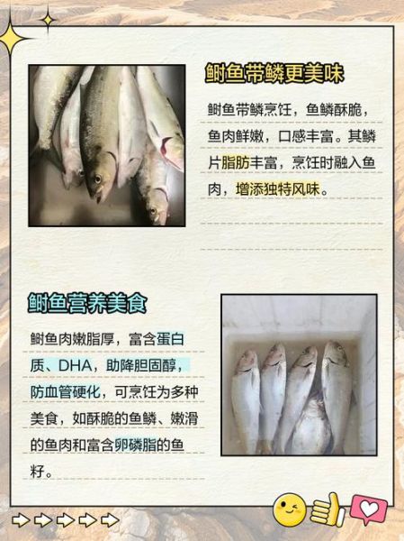 鲥鱼是什么鱼_鲥鱼为什么那么贵-第1张图片-山城妙识