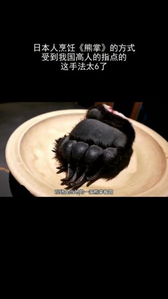 熊掌怎么去毛_熊掌处理毛视频教程-第1张图片-山城妙识