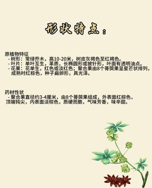 八角的功效与作用禁忌_香叶能替代八角吗-第1张图片-山城妙识