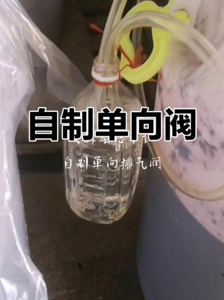 自制干红怎么做_干红酿造常见问题-第2张图片-山城妙识 自制干红怎么做_干红酿造常见问题-第2张图片-山城妙识