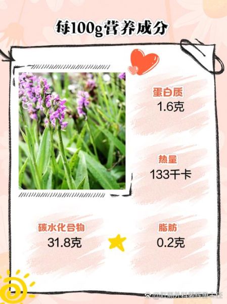 佛手参怎么吃_佛手参的正确吃法-第2张图片-山城妙识