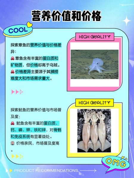 章鱼和鱿鱼哪个营养价值高_谁更适合健身增肌-第3张图片-山城妙识