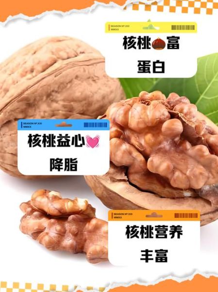 鲜核桃热量是多少_鲜核桃减肥能吃吗-第2张图片-山城妙识