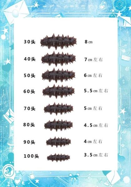 海参牡蛎片多少钱一瓶_海参牡蛎片价格表-第1张图片-山城妙识