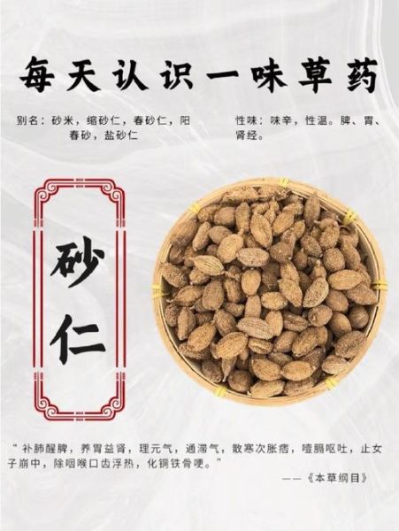 春砂仁图片_如何辨别真假春砂仁-第2张图片-山城妙识