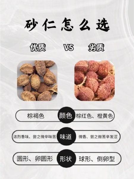 春砂仁图片_如何辨别真假春砂仁-第1张图片-山城妙识