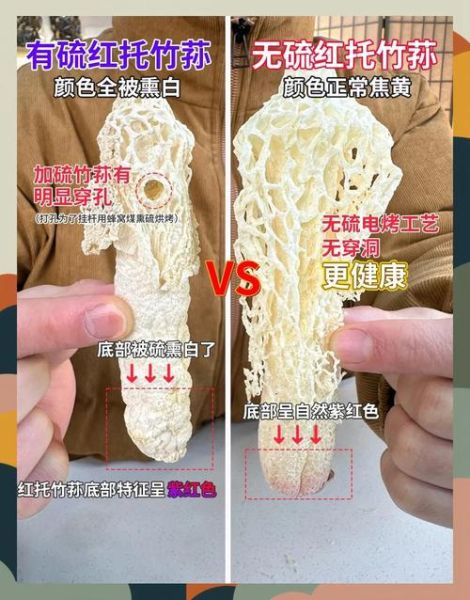 竹荪种植骗局是真的吗_如何识别竹荪种植骗局-第2张图片-山城妙识 竹荪种植骗局是真的吗_如何识别竹荪种植骗局-第2张图片-山城妙识