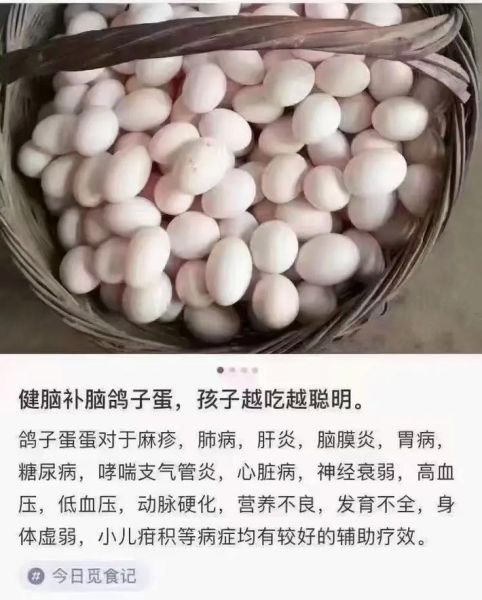 鸽子蛋壮阳多久吃一次最厉害_鸽子蛋壮阳效果好吗-第2张图片-山城妙识 鸽子蛋壮阳多久吃一次最厉害_鸽子蛋壮阳效果好吗-第2张图片-山城妙识