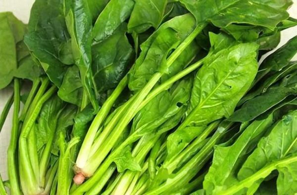 什么蔬菜补锌最快最好_补锌最快的蔬菜有哪些-第3张图片-山城妙识