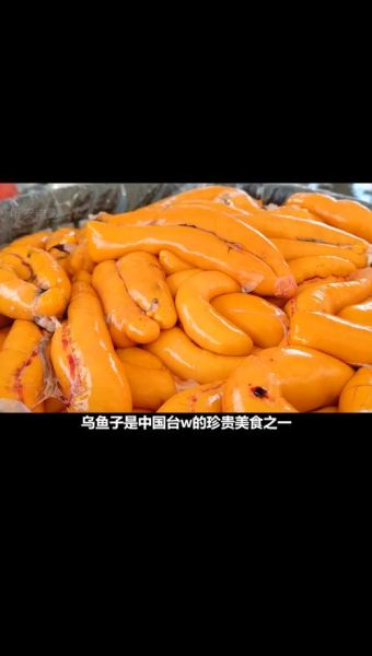 乌鱼影视官网打不开怎么办_乌鱼影视最新地址是多少-第1张图片-山城妙识