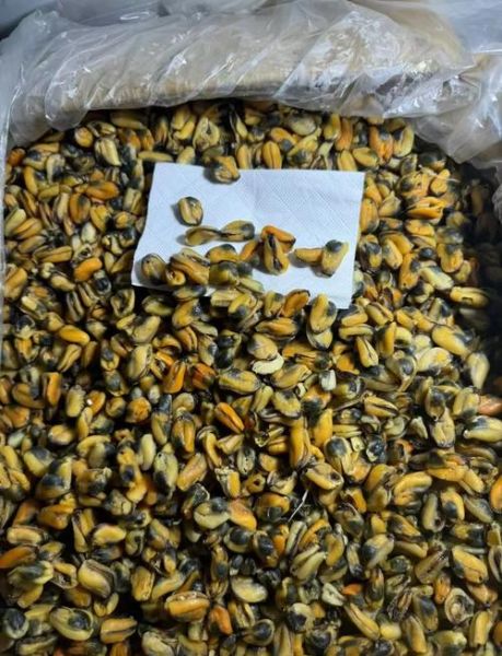 淡菜干怎么吃最好_淡菜干怎么泡发最干净-第1张图片-山城妙识