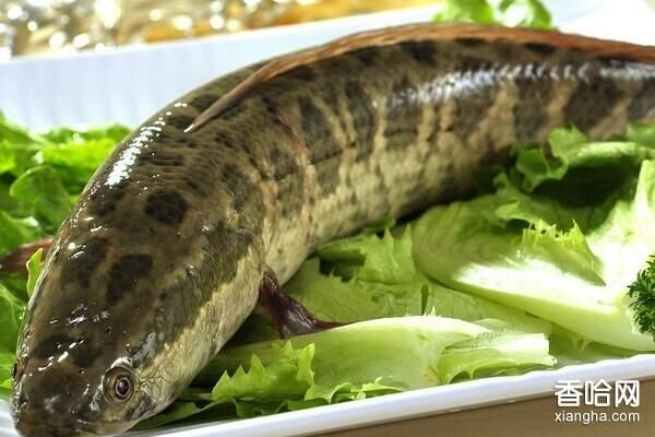 乌鱼影视官网打不开怎么办_乌鱼影视最新地址是多少-第3张图片-山城妙识