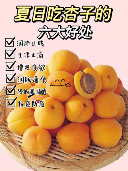 鲜杏的功效与作用_鲜杏的禁忌有哪些-第2张图片-山城妙识