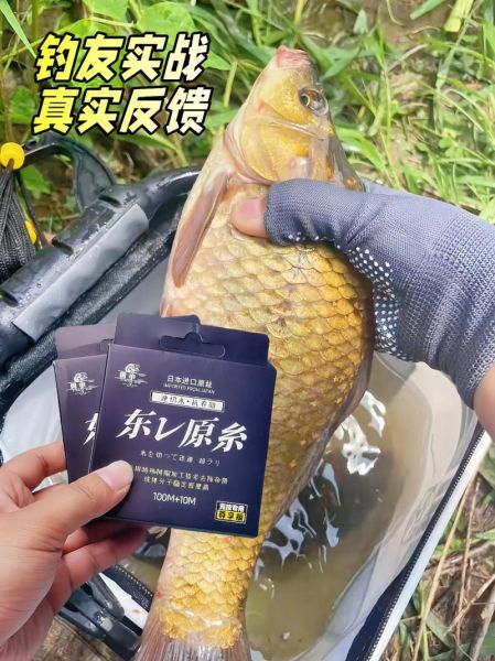 鱼丝线怎么选_鱼丝线哪个牌子好-第1张图片-山城妙识