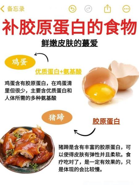 食补胶原蛋白有哪些食物_哪些食物补充胶原蛋白最快-第2张图片-山城妙识