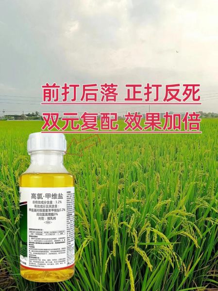 甜菜夜蛾防治方法_甜菜夜蛾用什么药最有效-第1张图片-山城妙识 甜菜夜蛾防治方法_甜菜夜蛾用什么药最有效-第1张图片-山城妙识