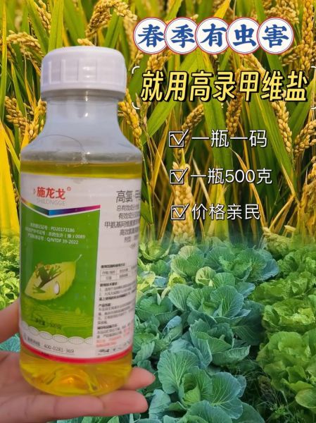 甜菜夜蛾防治方法_甜菜夜蛾用什么药最有效-第2张图片-山城妙识 甜菜夜蛾防治方法_甜菜夜蛾用什么药最有效-第2张图片-山城妙识