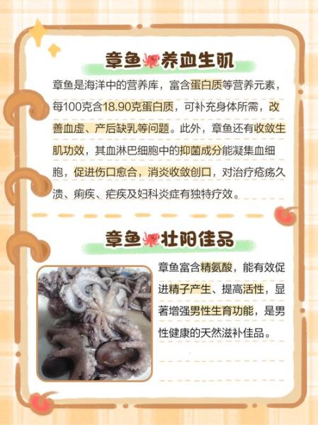 大章鱼怎么养_大章鱼吃什么-第1张图片-山城妙识