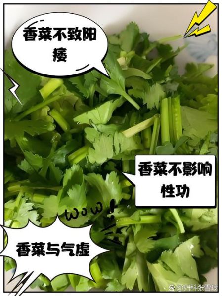 男人为什么不能吃香菜_香菜对男性健康的影响-第3张图片-山城妙识 男人为什么不能吃香菜_香菜对男性健康的影响-第3张图片-山城妙识