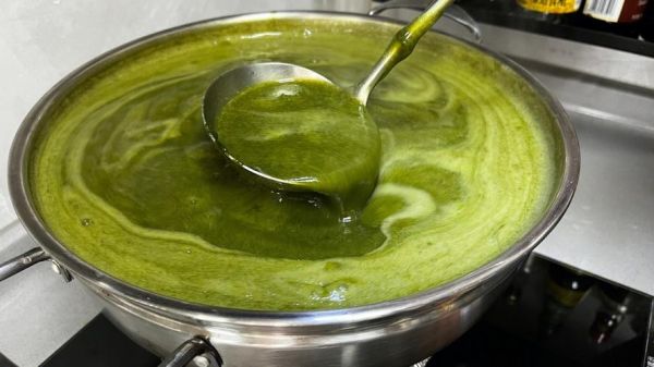 仙草蜜怎么做_仙草蜜功效与禁忌-第1张图片-山城妙识 仙草蜜怎么做_仙草蜜功效与禁忌-第1张图片-山城妙识