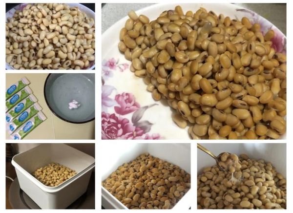 自制纳豆怎么做_纳豆发酵温度是多少-第2张图片-山城妙识