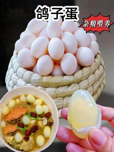鸽子蛋壮阳效果真的好吗_鸽子蛋怎么吃最补肾-第2张图片-山城妙识 鸽子蛋壮阳效果真的好吗_鸽子蛋怎么吃最补肾-第2张图片-山城妙识