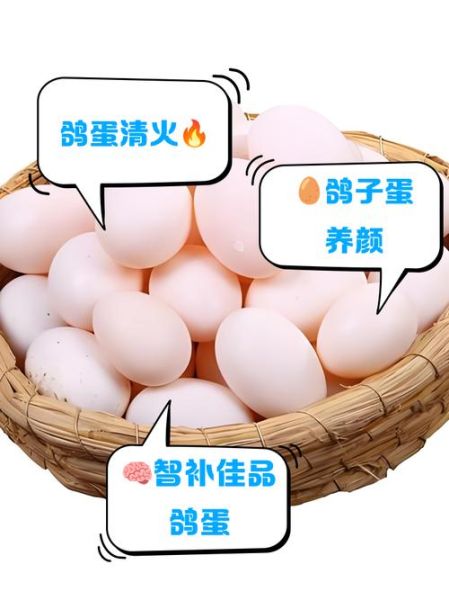鸽子蛋壮阳效果真的好吗_鸽子蛋怎么吃最补肾-第3张图片-山城妙识 鸽子蛋壮阳效果真的好吗_鸽子蛋怎么吃最补肾-第3张图片-山城妙识