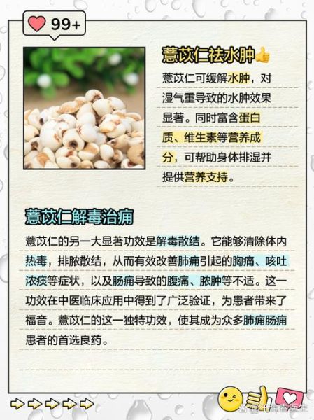 薏苡仁的功效与作用_薏苡仁主治哪些疾病-第2张图片-山城妙识