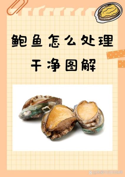鲍鱼怎么清洗才干净_鲍鱼清洗的正确方法-第2张图片-山城妙识