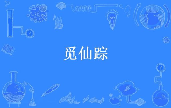 觅仙路txt全集下载_觅仙路txt全集下载在哪找-第2张图片-山城妙识