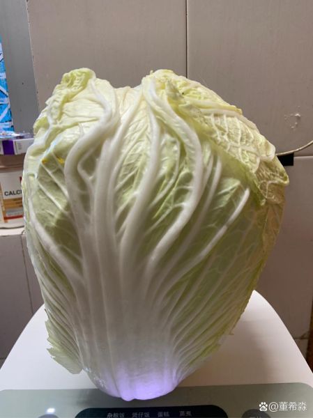 大白菜官网哪个是真的_如何辨别真假大白菜官网-第2张图片-山城妙识