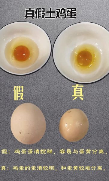 土鸡蛋的营养价值_土鸡蛋和普通鸡蛋的区别-第1张图片-山城妙识 土鸡蛋的营养价值_土鸡蛋和普通鸡蛋的区别-第1张图片-山城妙识