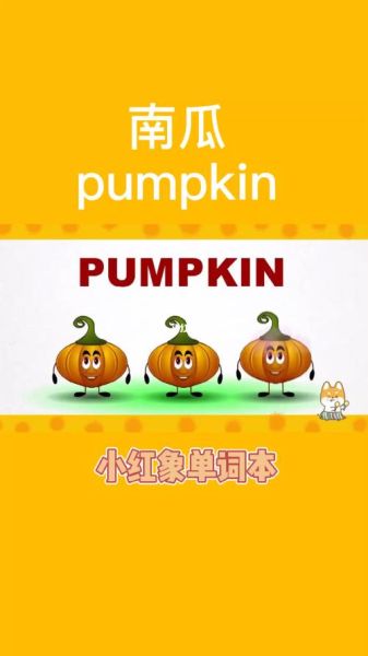 南瓜英语怎么读音播放_南瓜英语发音技巧-第2张图片-山城妙识