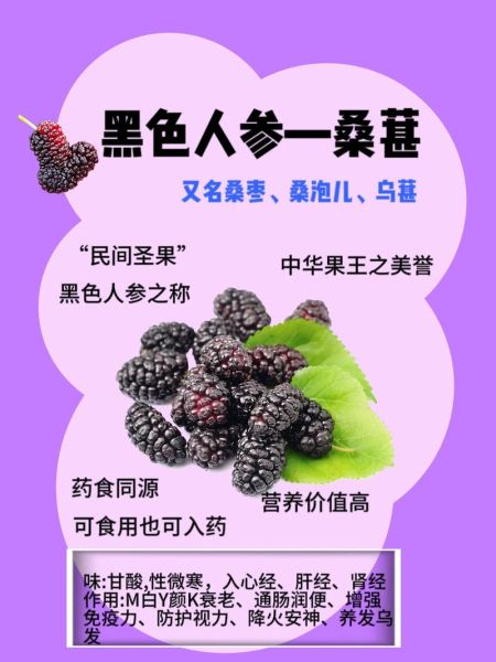 桑葚的营养价值_桑葚的功效与作用有哪些-第1张图片-山城妙识